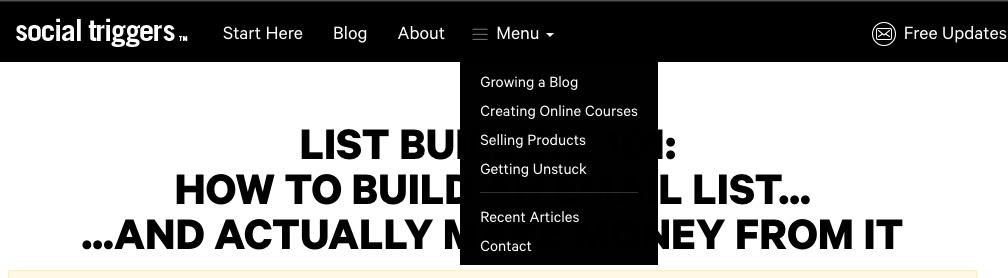 List Building 101 How To Build An Email List And Actually Make Money From It Social Triggers